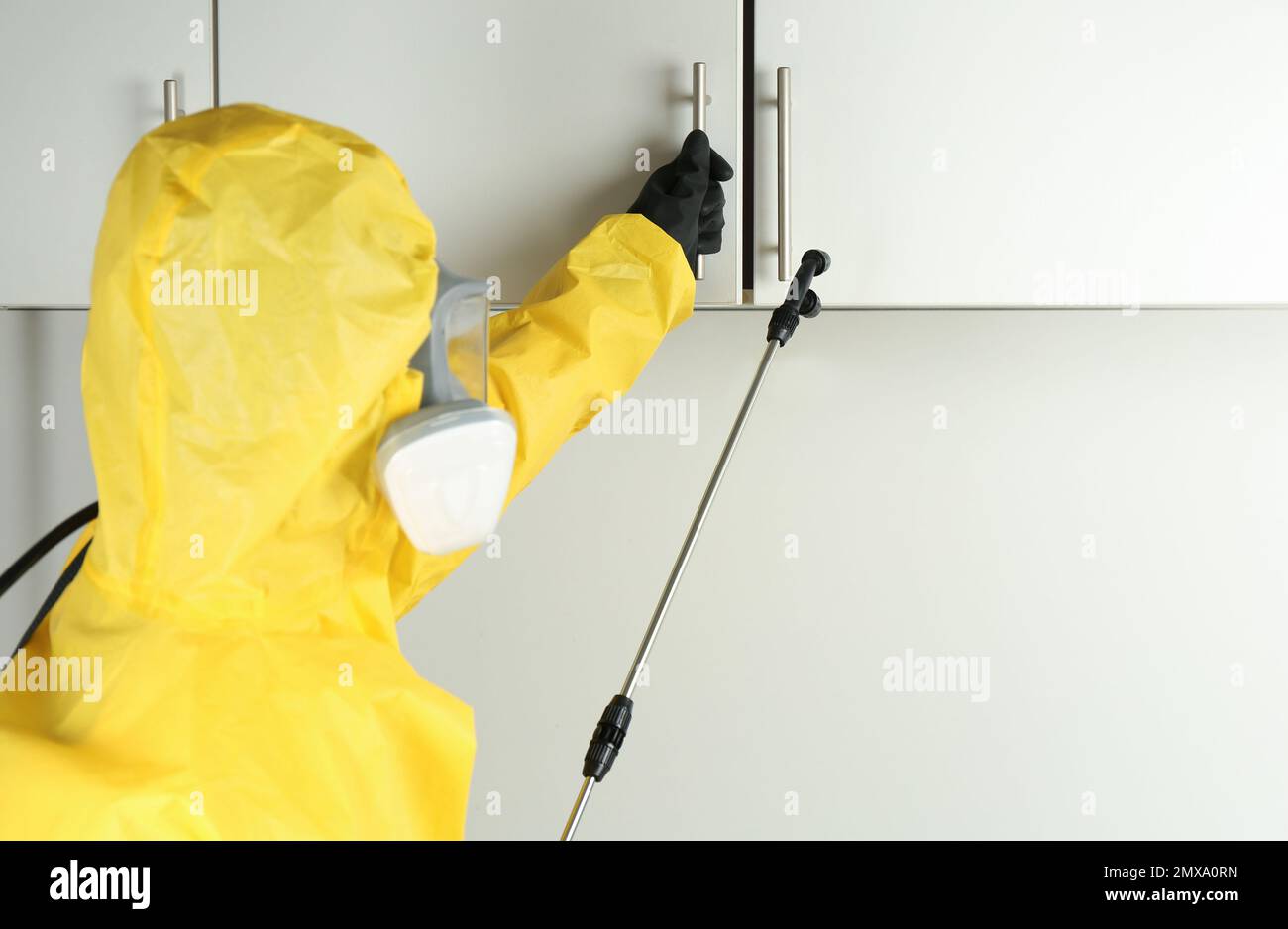 Pest control worker spraying pesticide on furniture indoors Stock Photo ...