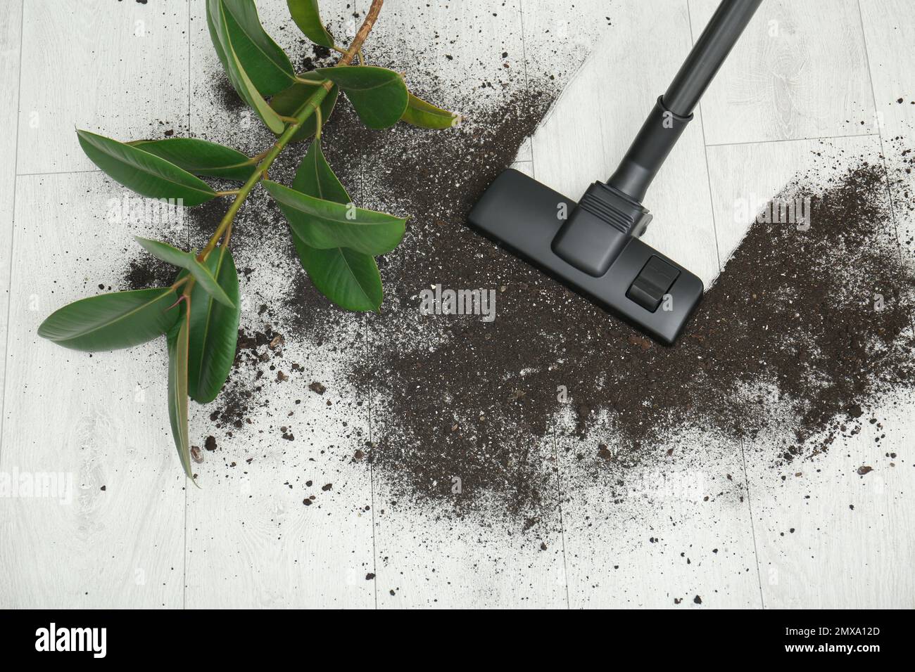 Removing soil from wooden floor with vacuum cleaner at home, top view ...