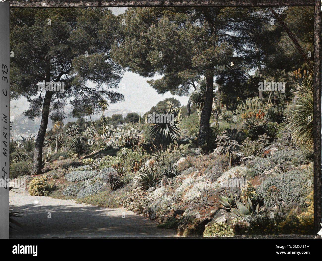 Cap Martin , France , 1914 - Cap Martin - Auguste Léon - (March Stock ...