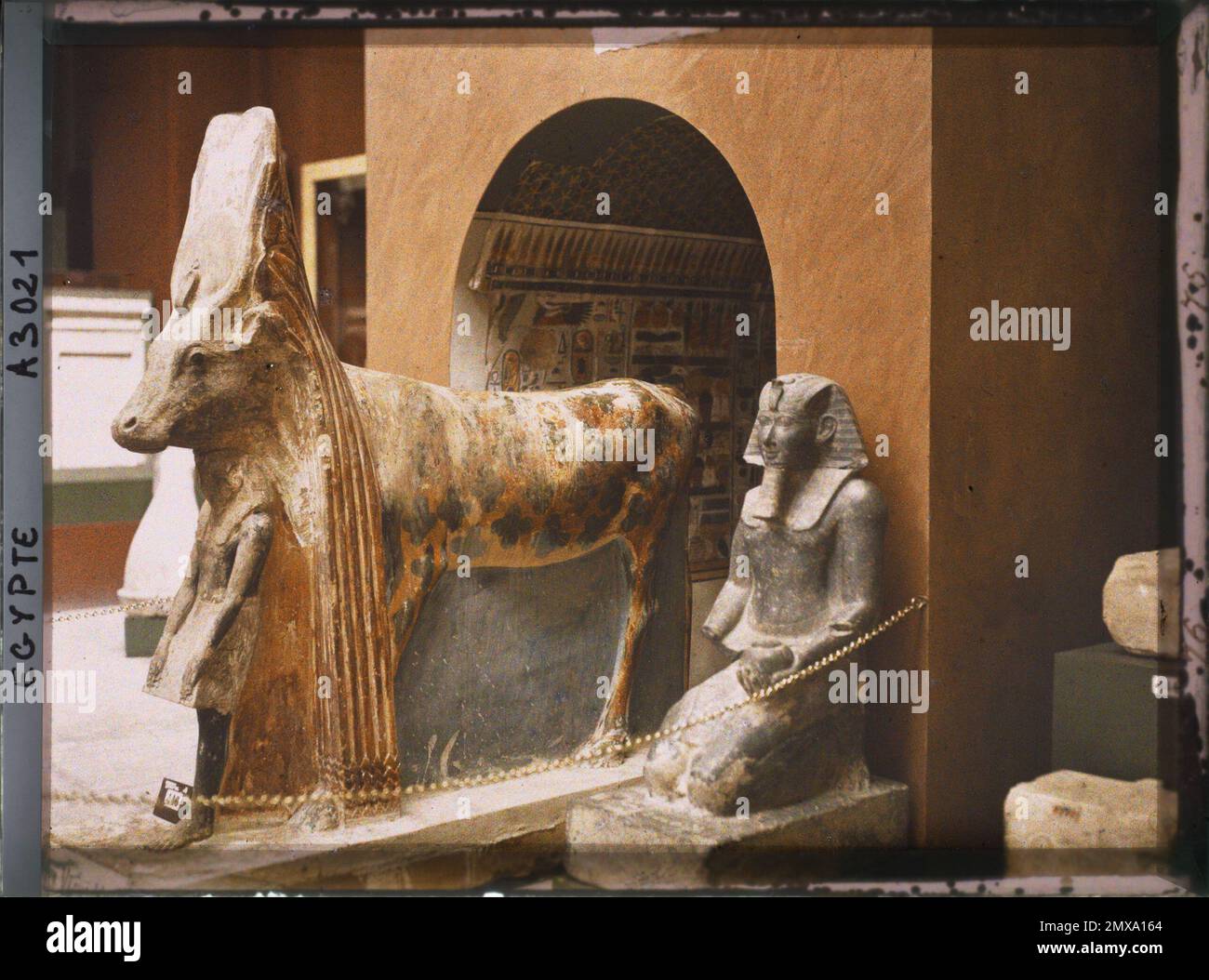 Cairo, Egypt, Hathor Cow Africa at the Egyptian Museum , 1914 - Egypt ...