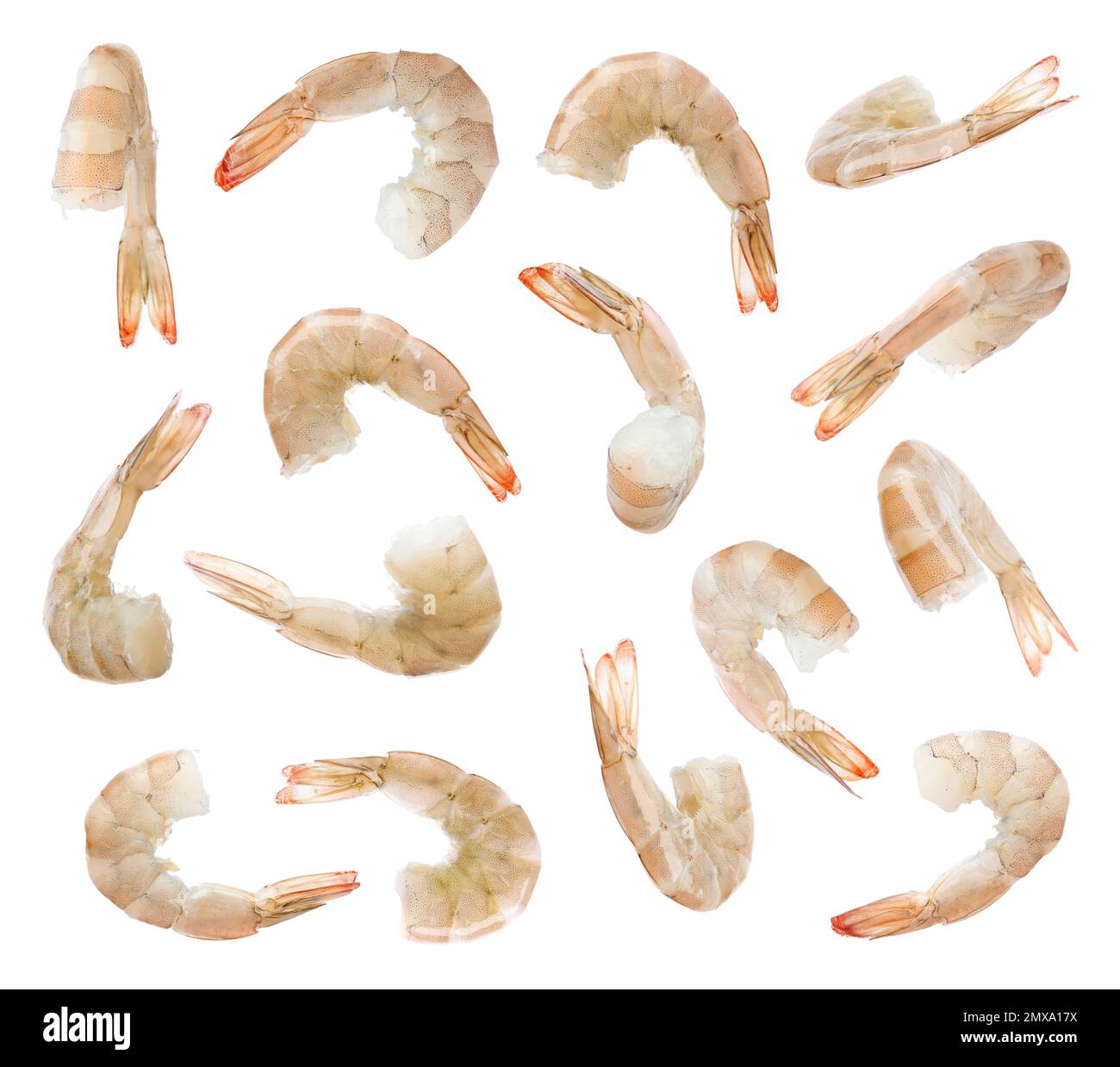 Collage of raw shrimps on white background Stock Photo - Alamy