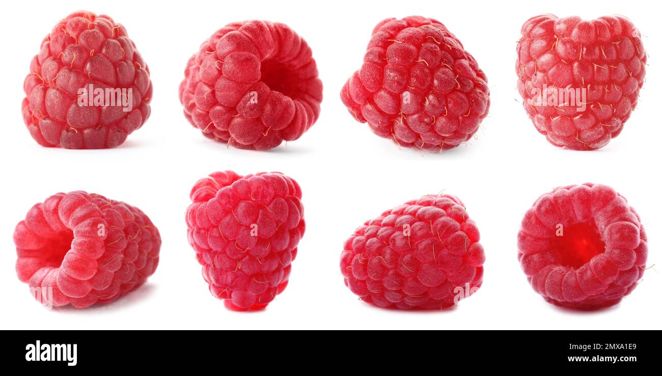 Set of fresh sweet raspberries on white background. Banner design Stock ...