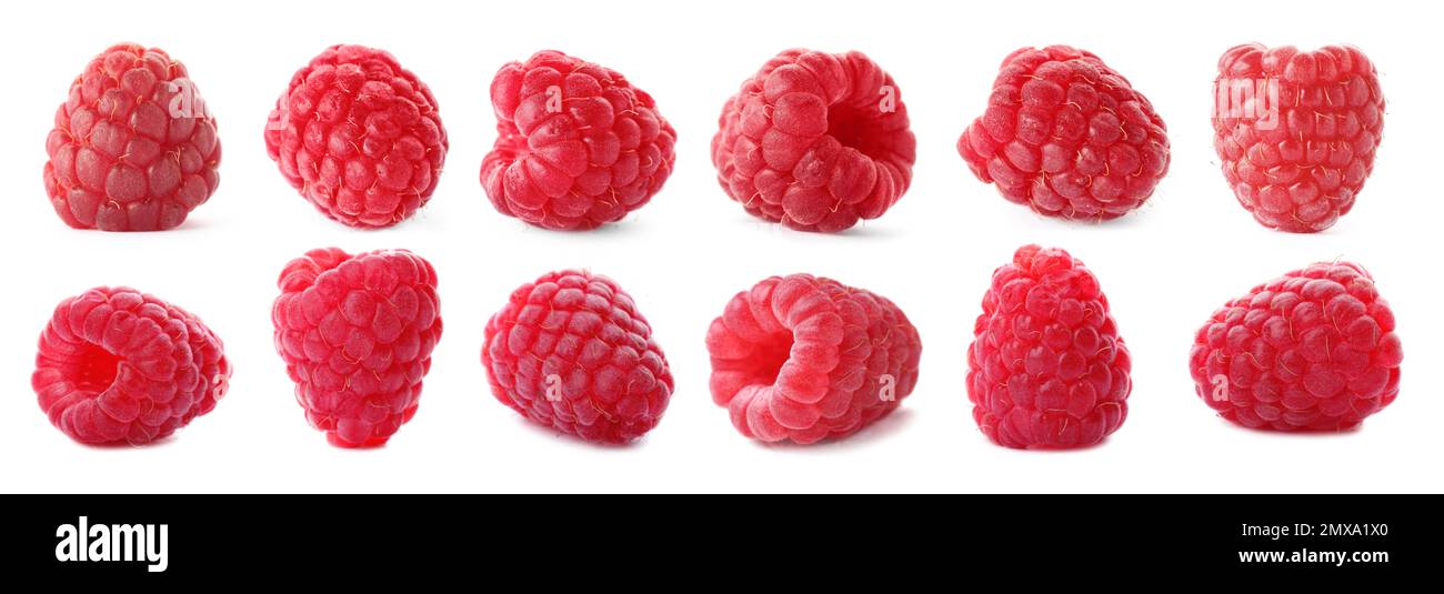 Set of fresh sweet raspberries on white background. Banner design Stock ...