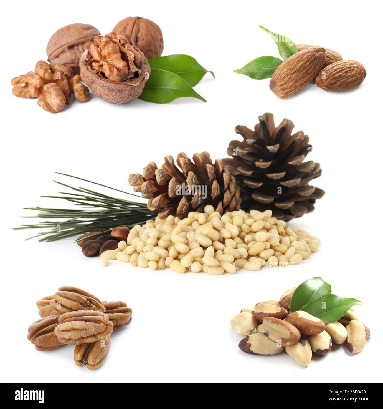 Nuts and seeds set Cut Out Stock Images & Pictures - Alamy