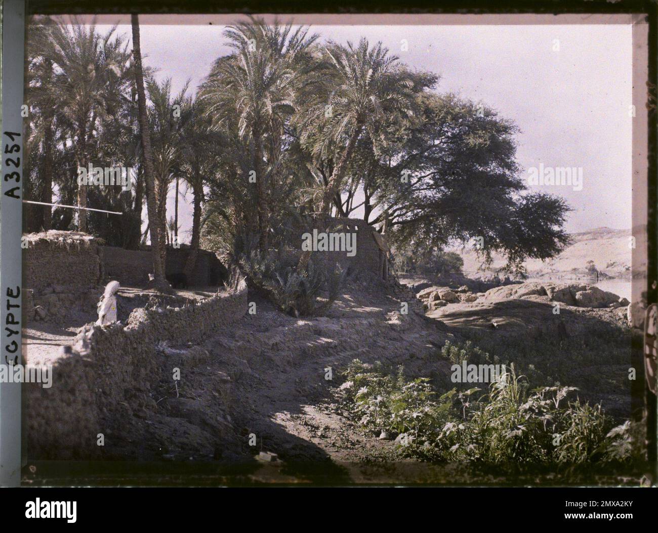 Assouan, Egypt, Africa shores of the island of Elephantine , 1914 ...