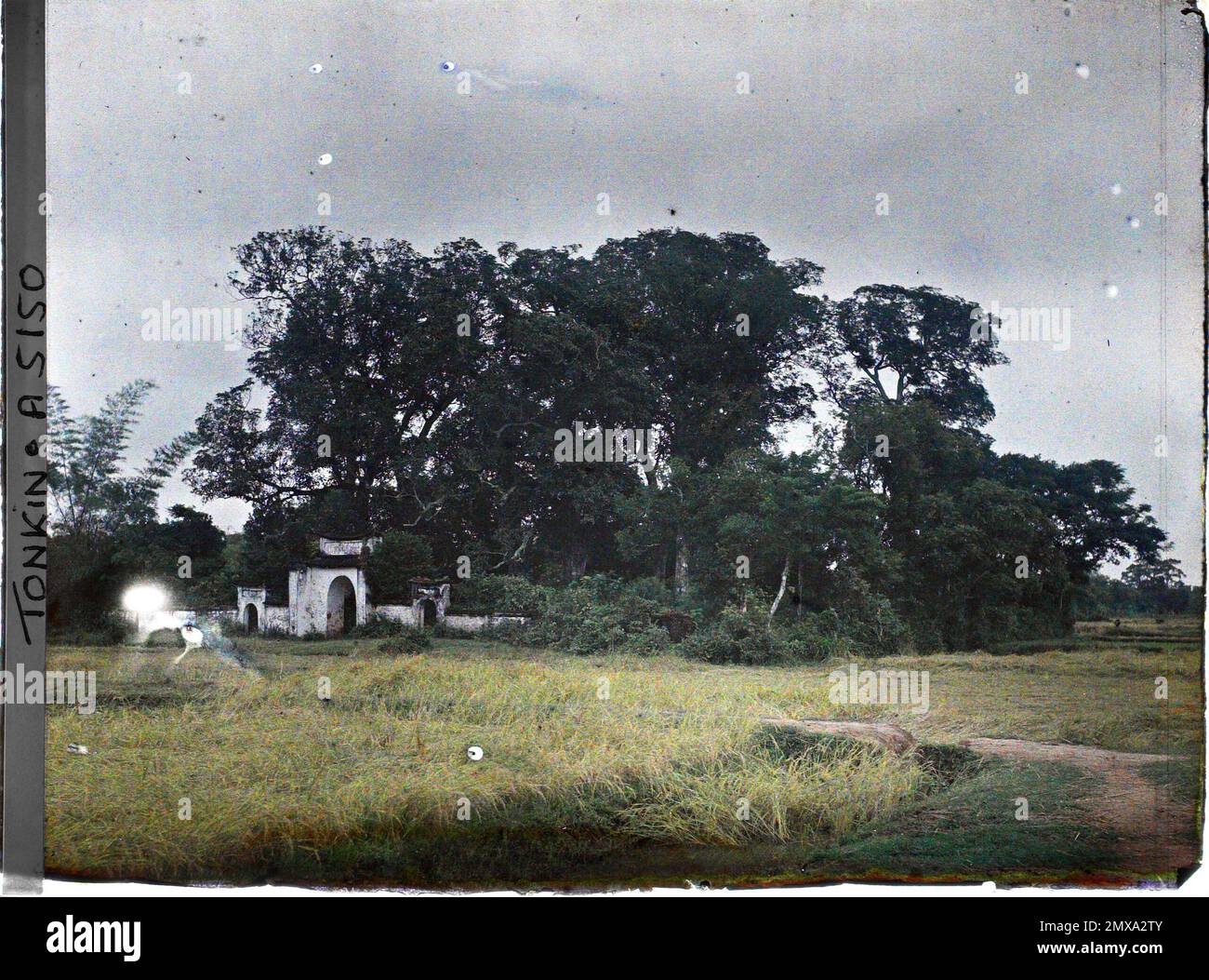 Province of Hà-Dông, Tonkin, Indochina a temple in the middle of the ...