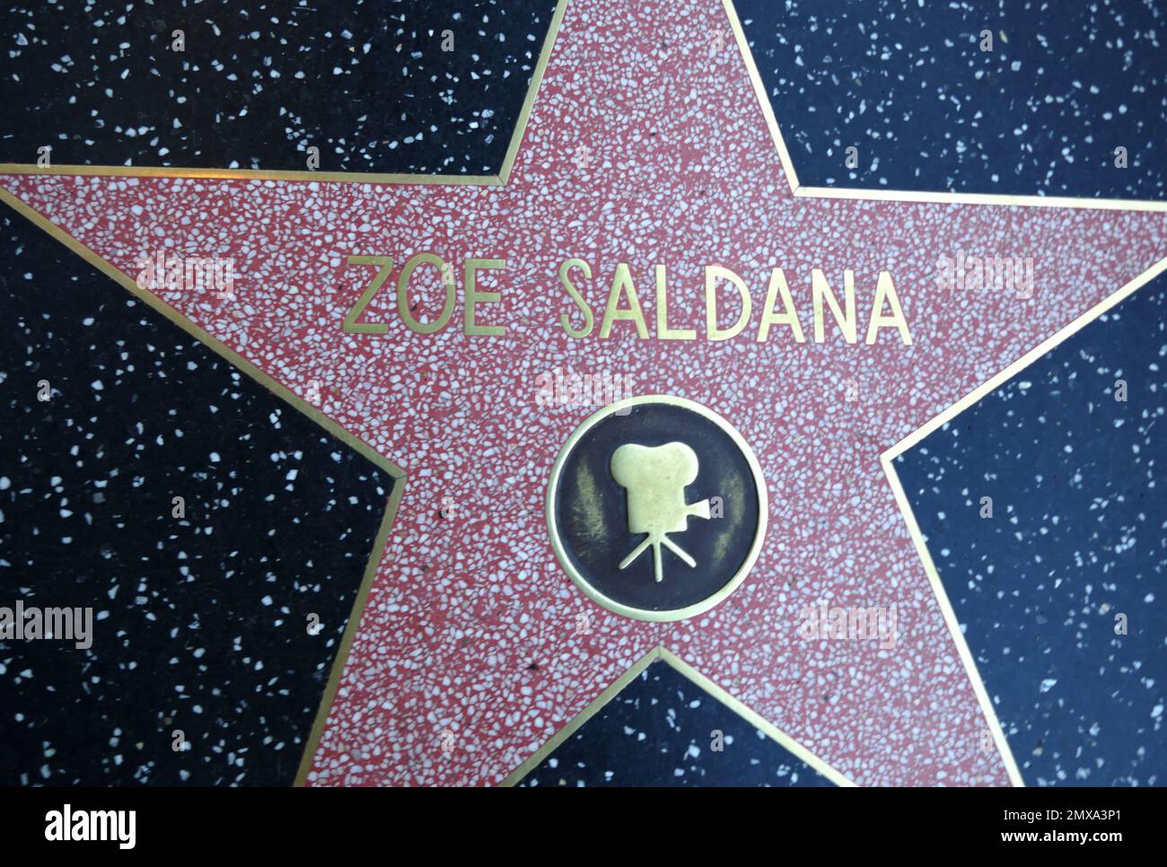 Los Angeles, California, USA 1st February 2023 Actress Zoe Saldana's ...