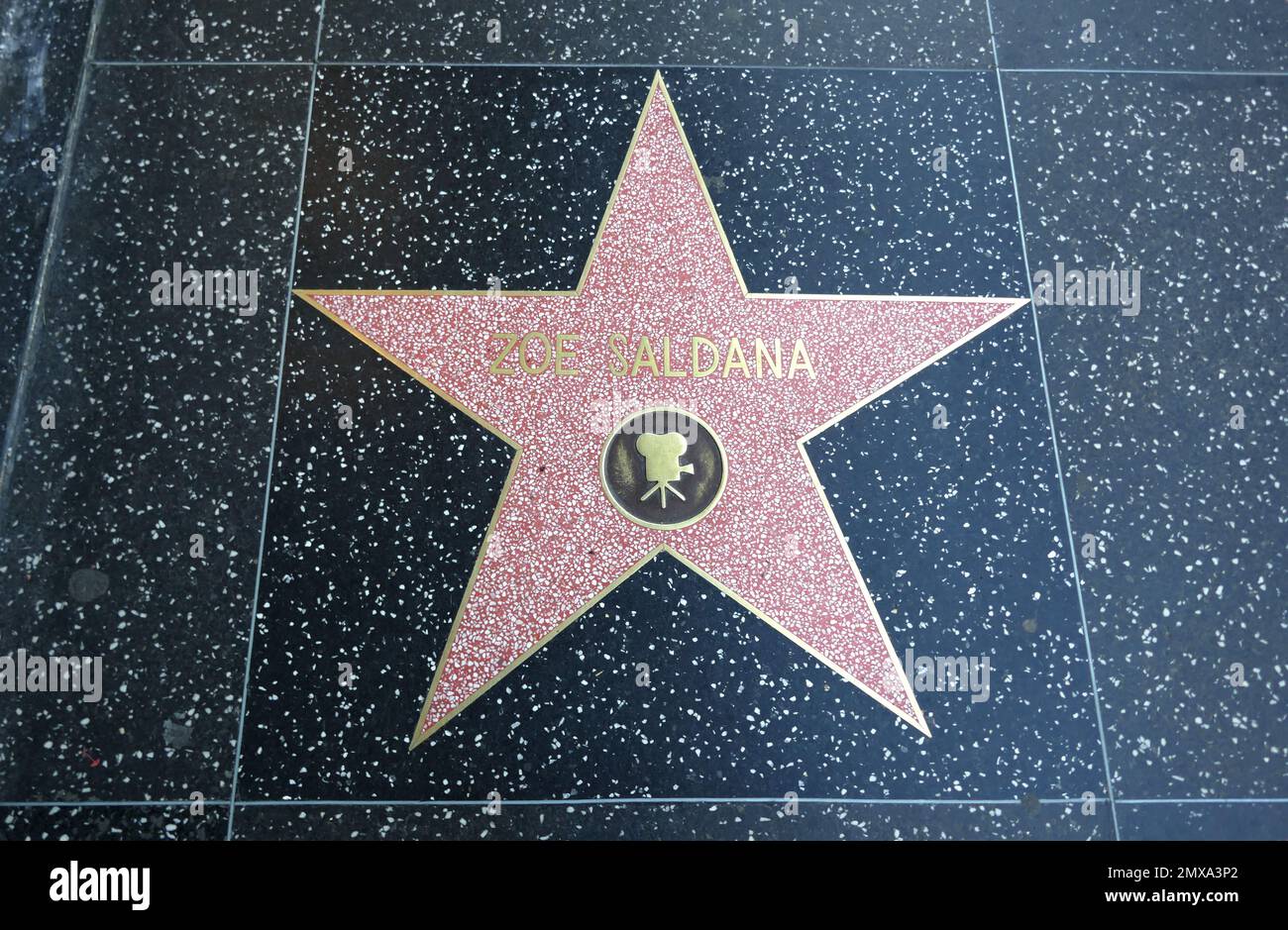 Los Angeles, California, USA 1st February 2023 Actress Zoe Saldana's ...