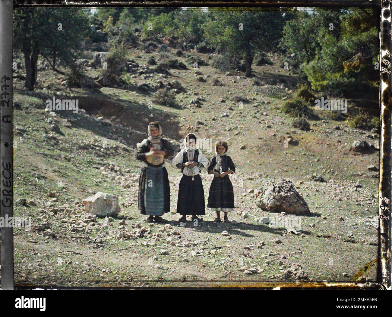 Tatoi greece hi-res stock photography and images - Alamy