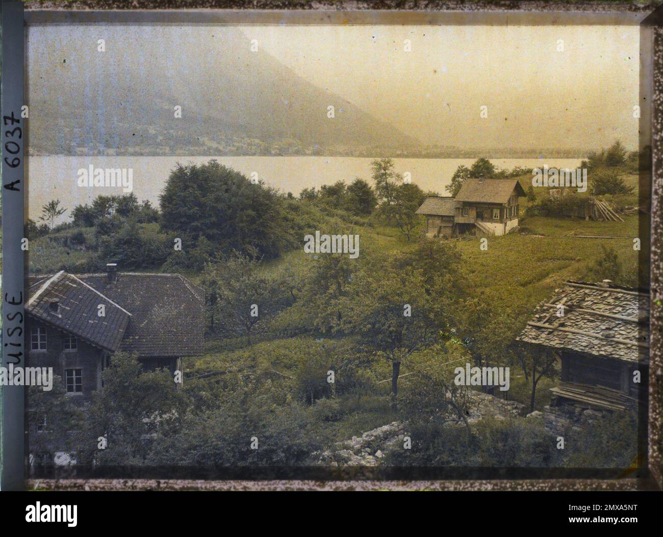 Ringgenberg, Swiss Panorama on Lake Brienz from Ringgenberg , 1912 ...