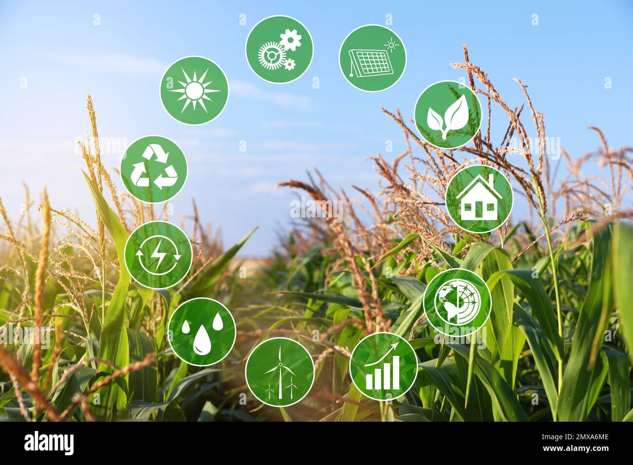 Modern agriculture concept. Icons and field on background Stock Photo ...