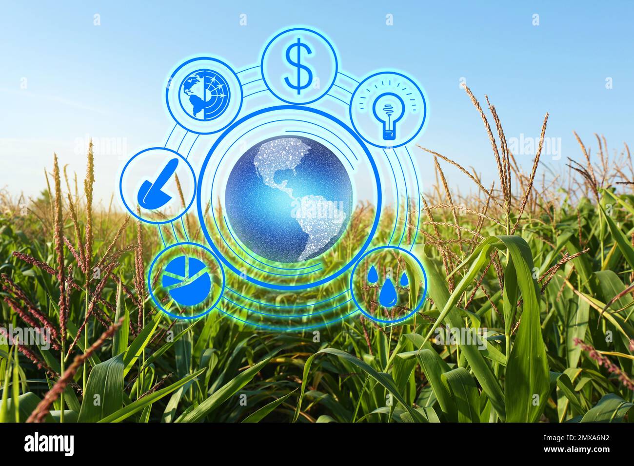 Modern agriculture concept. Icons and field on background Stock Photo ...