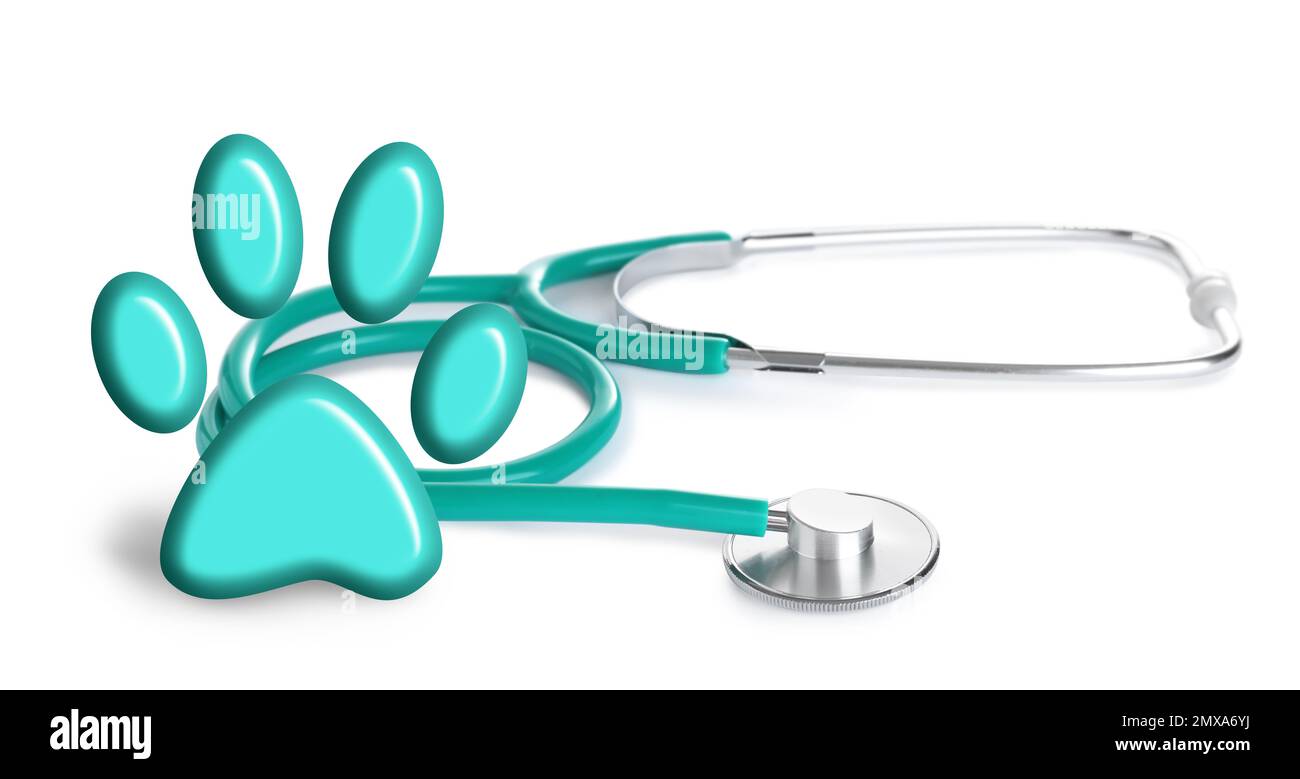 Stethoscope and animal paw on white background Stock Photo - Alamy