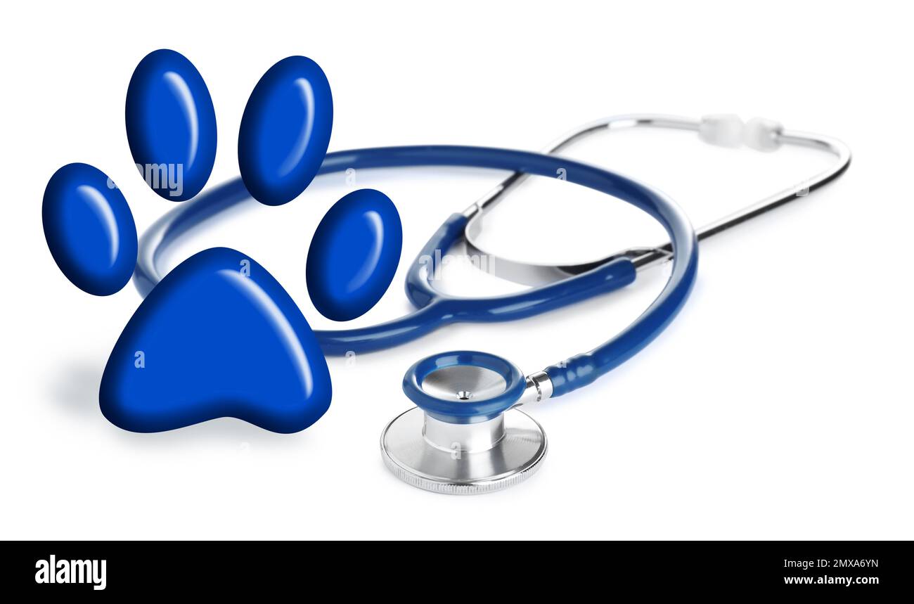 Stethoscope and animal paw on white background Stock Photo - Alamy