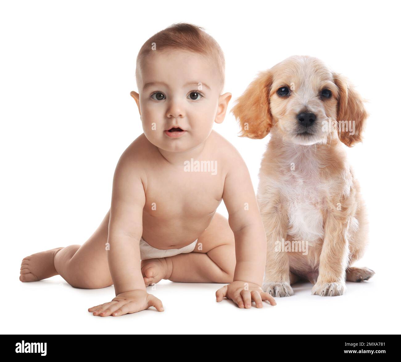 Cute little baby with his pet on white background Stock Photo - Alamy