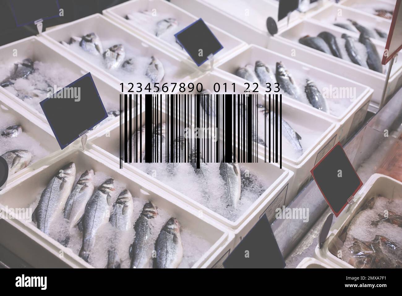 Seafood distribution hi-res stock photography and images - Alamy