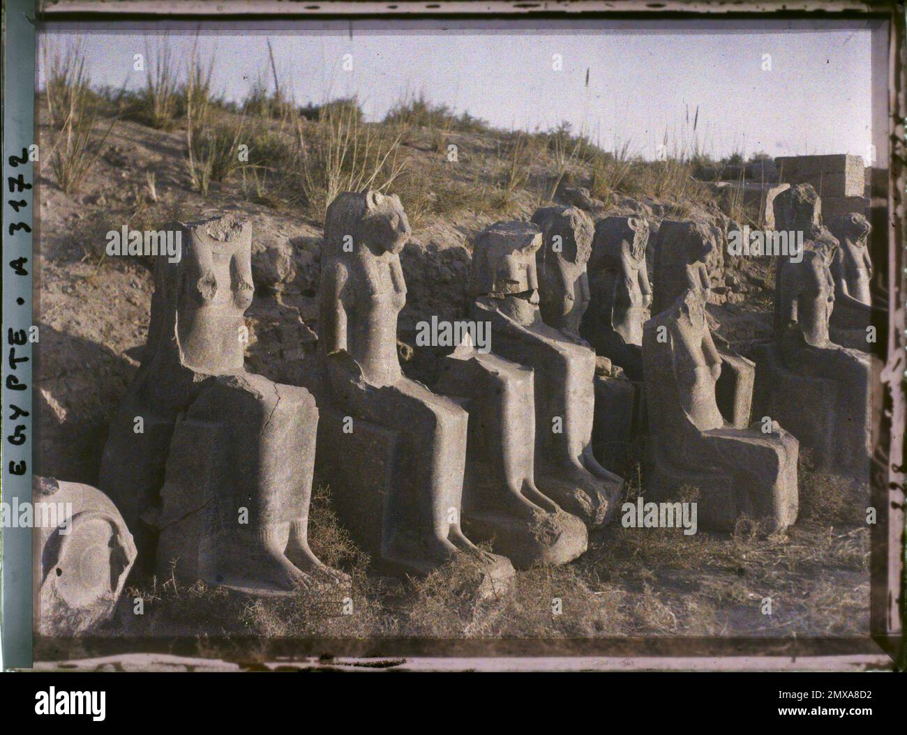 Karnak, Egypt, Africa several statues of the goddess Sekhmet , 1914 ...