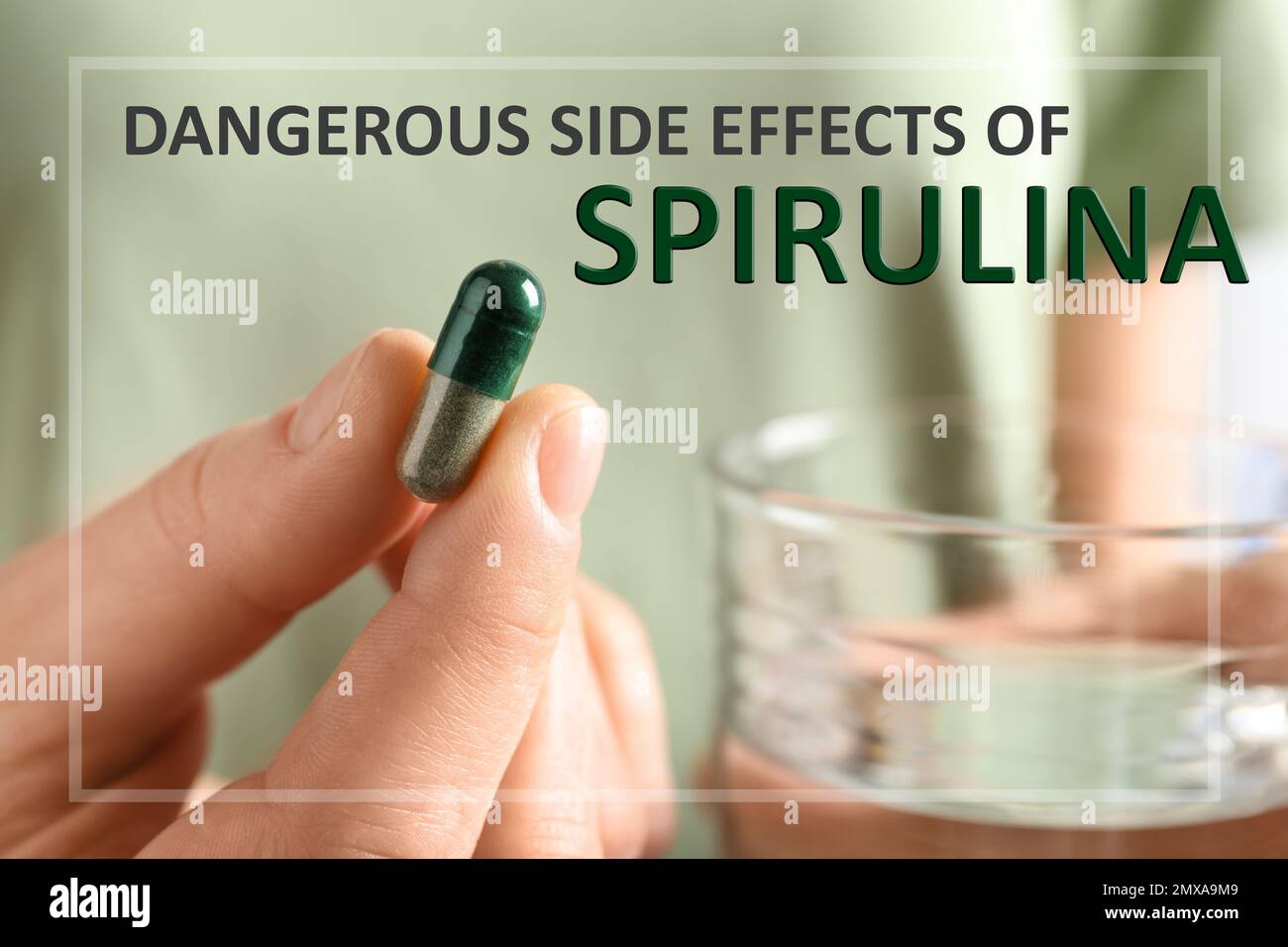 Hand holding spirulina algae hi-res stock photography and images - Alamy