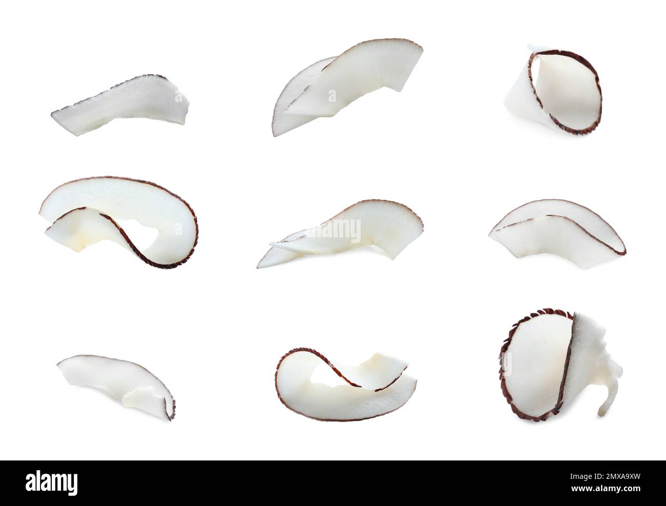 Set with fresh coconut flakes isolated on white Stock Photo - Alamy