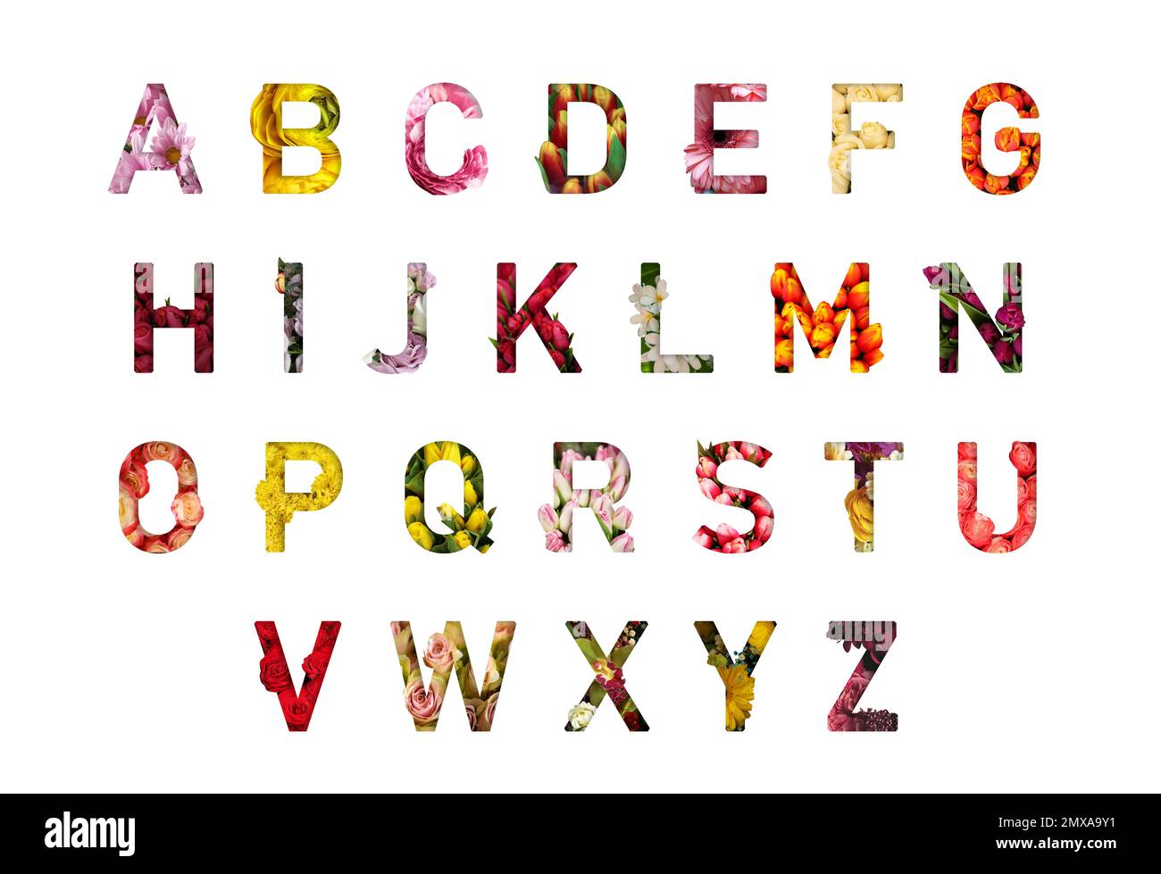 Alphabet letters made of flowers on white background Stock Photo - Alamy