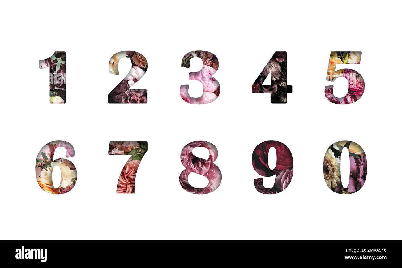 Numbers made of flowers on white background Stock Photo - Alamy