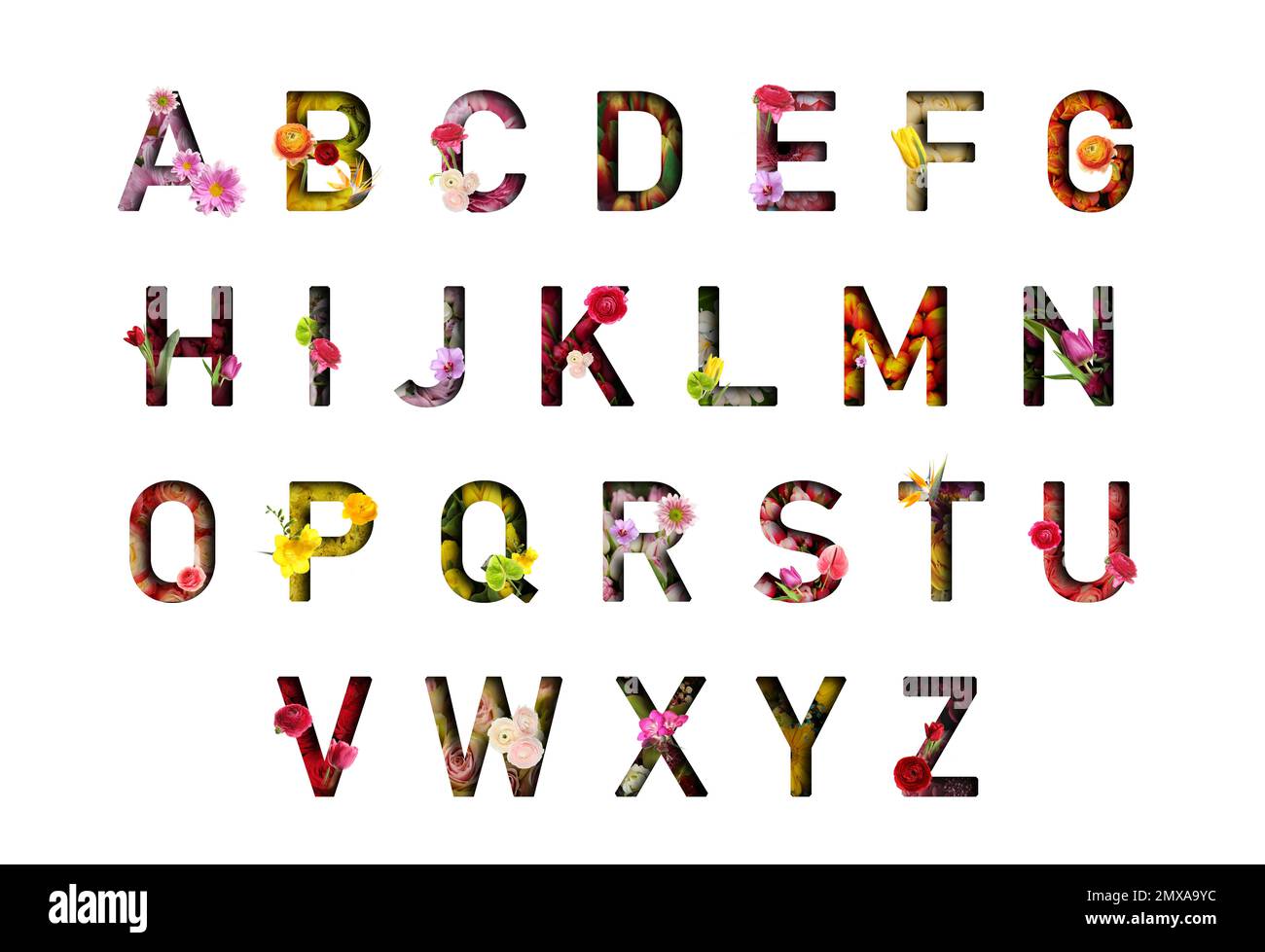 Alphabet letters made of flowers on white background Stock Photo - Alamy