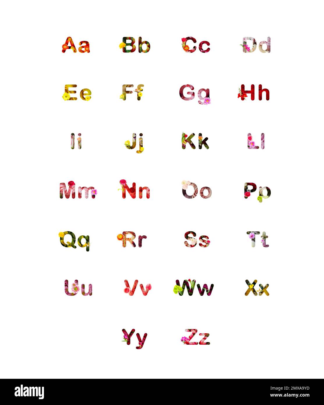 Alphabet letters made of flowers on white background Stock Photo - Alamy
