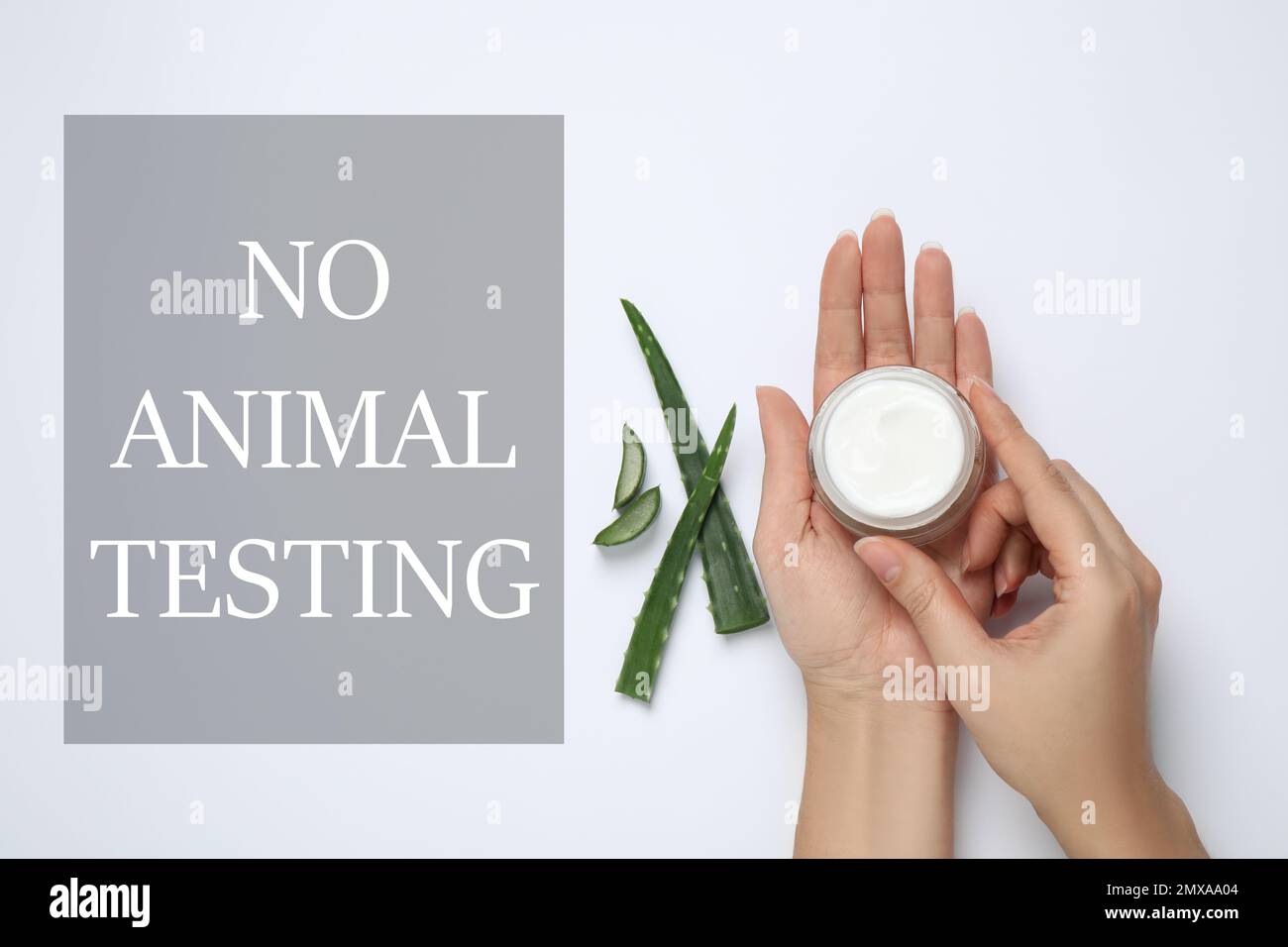 Woman with jar of cream, aloe and text NO ANIMAL TESTING on white ...