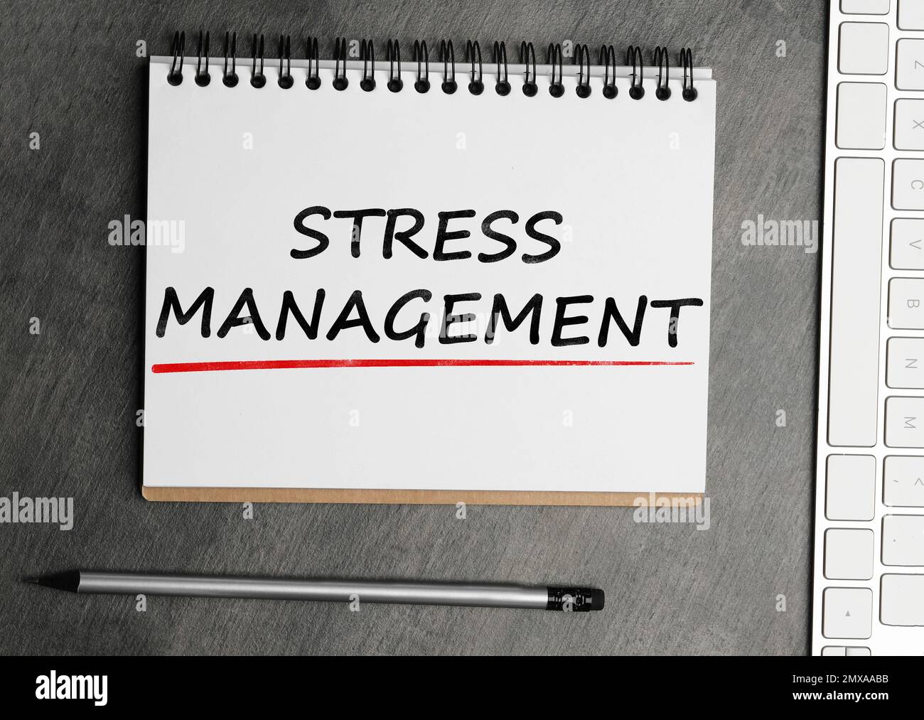 Notepad with text STRESS MANAGEMENT on grey table, flat lay Stock Photo ...