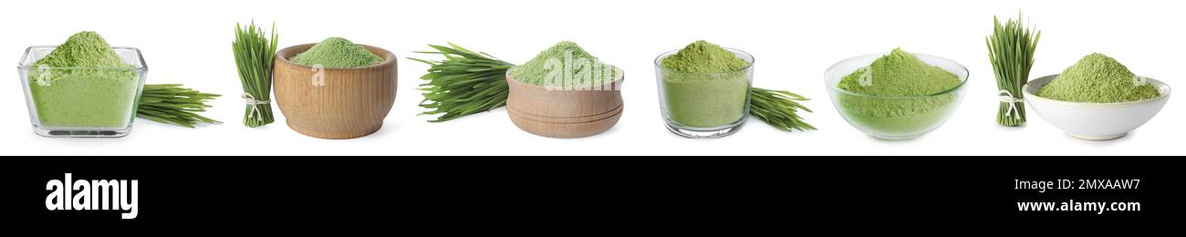 Set of fresh wheat grass and green powder on white background. Banner ...