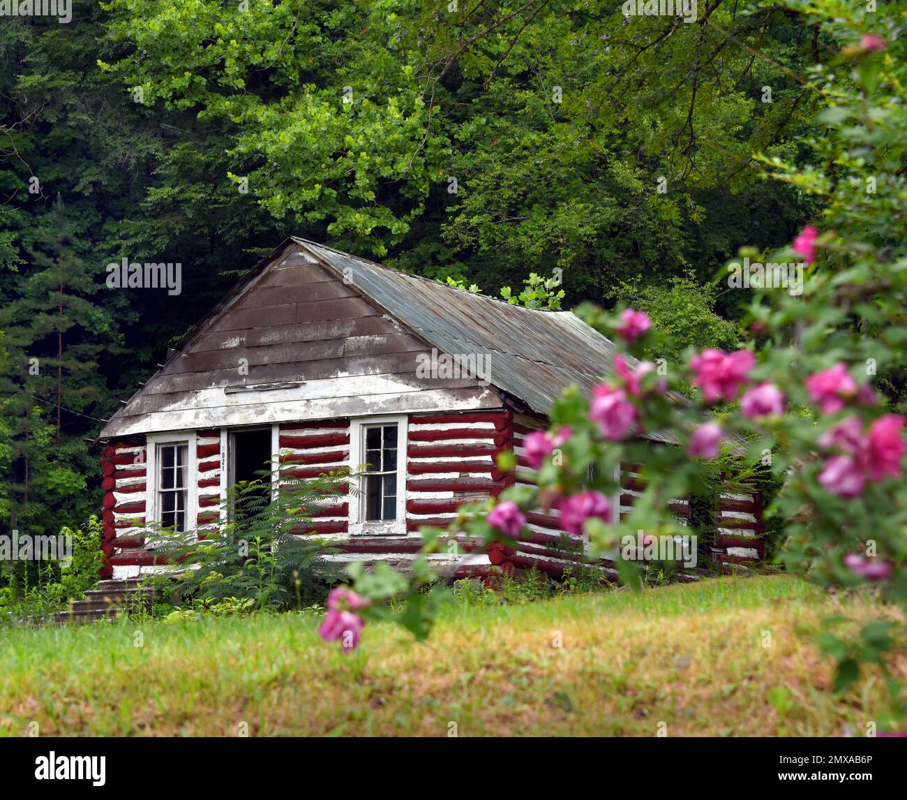 Red painted logs form the walls of this log cabin. Roof is tin. Cabin ...