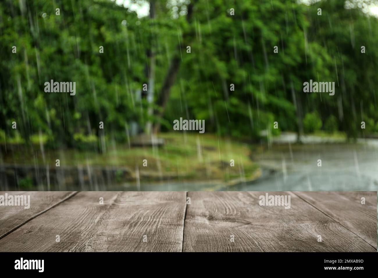 Empty tree branch on rainy hi-res stock photography and images - Alamy