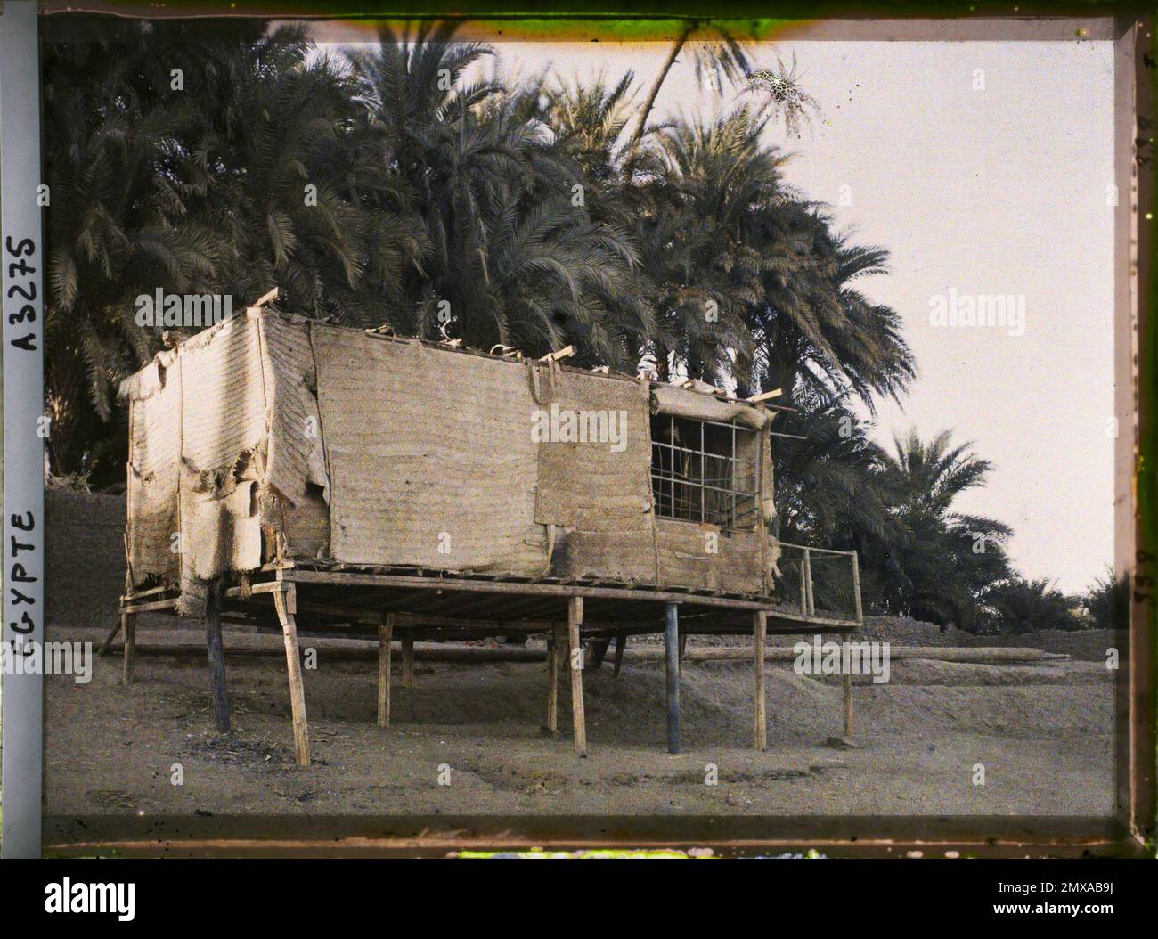 ASSOUAN, Egypt, Home Africa on stilts by the Nile on the island of ...