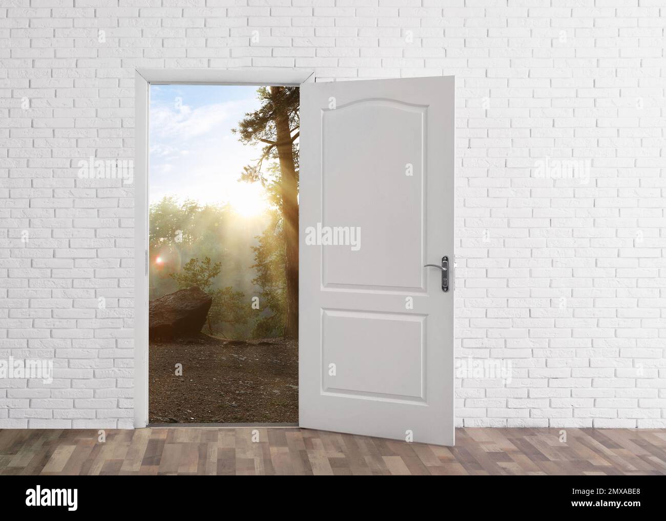 Door open into forest on sunny day Stock Photo - Alamy