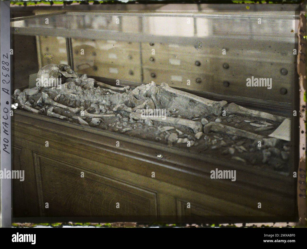 Ethnology anthropology museum woman corpse skeleton prehistory hi-res ...