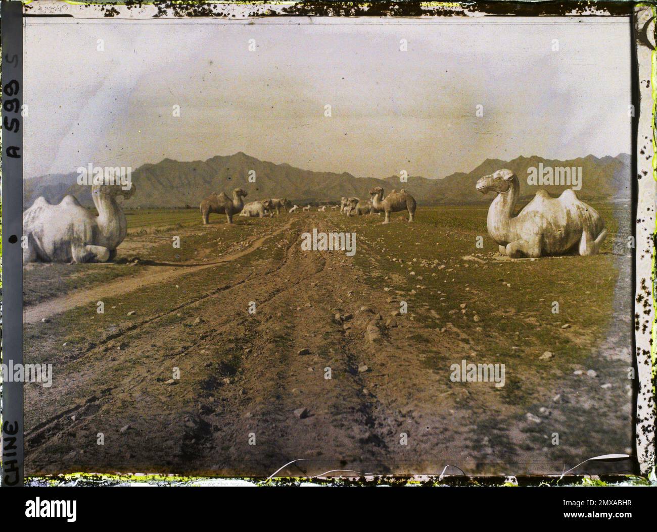 Changping, China Ming Shisanling ("Thirteen Ming Tombs") , 1912 - China ...