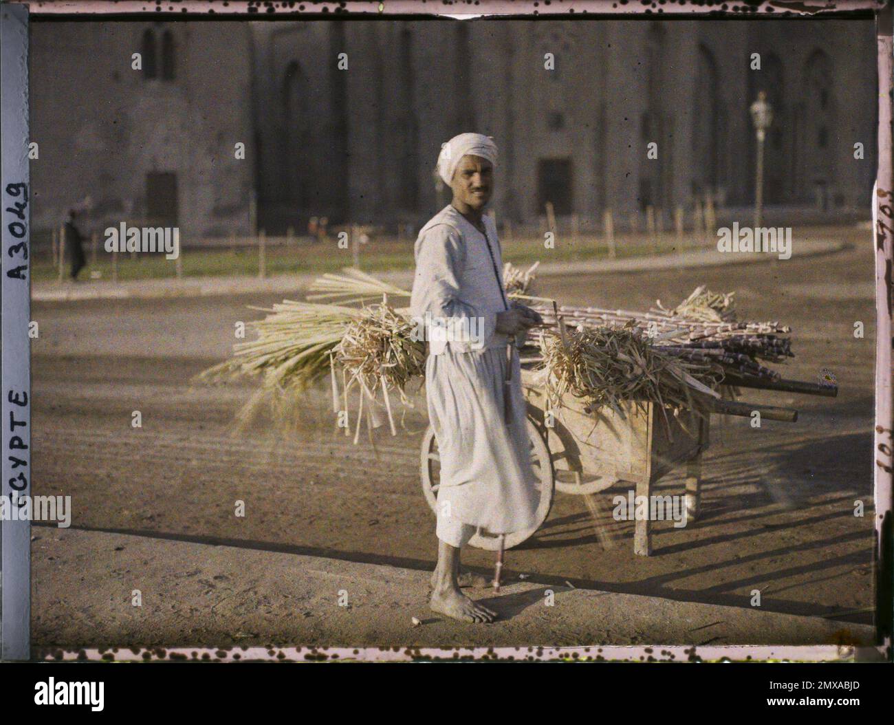 Cairo Egypt, African Merchant Ambulant of Sugar Cane , 1914 - Egypt ...