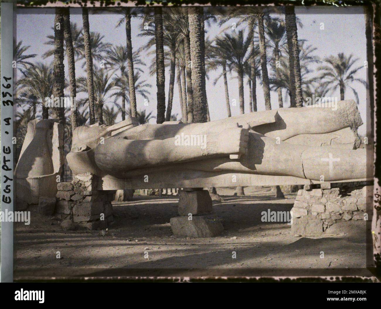 Surroundings of Saqqara, Egypt, Africa colossus lying with Ramses II ...