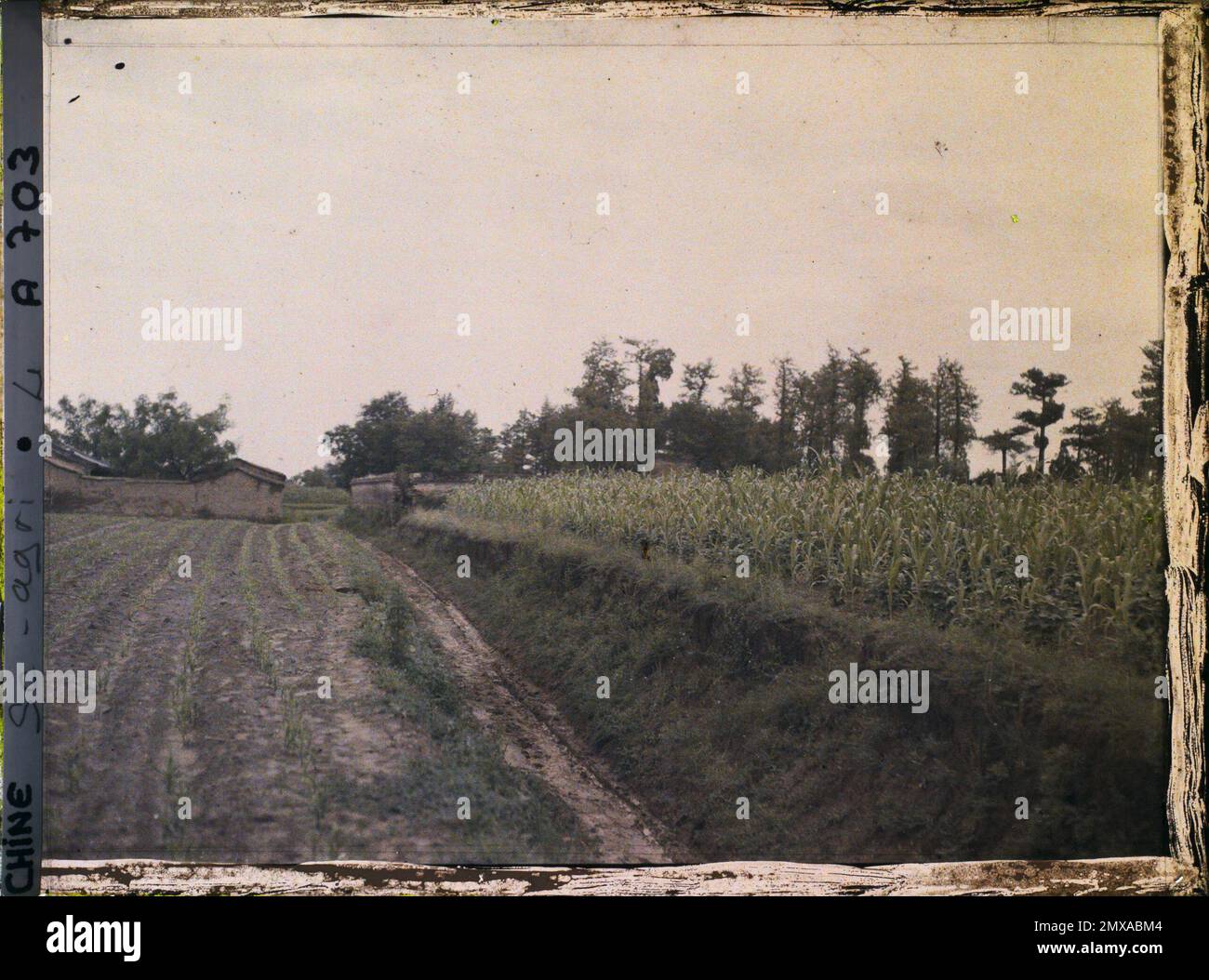 Agriculture breeding field rural architecture economic activity hi-res ...