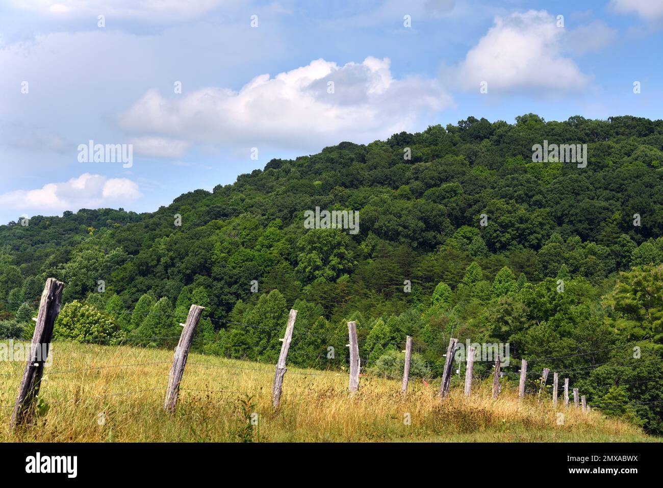 Rustic fence row runs down a hillside in the Appalachian Mountains of ...