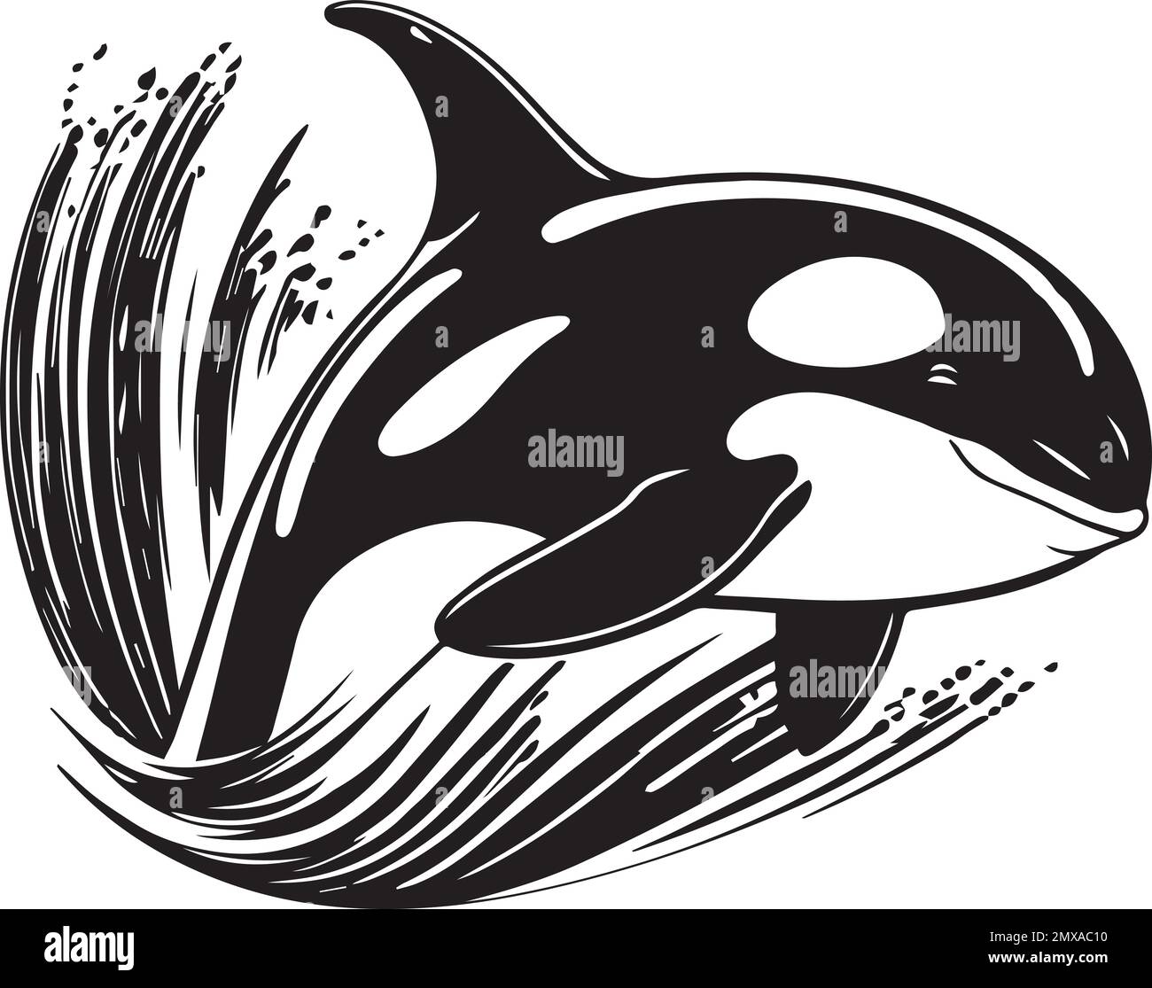 Orca Killer Whale Monochrome Logo Stock Vector Image & Art - Alamy