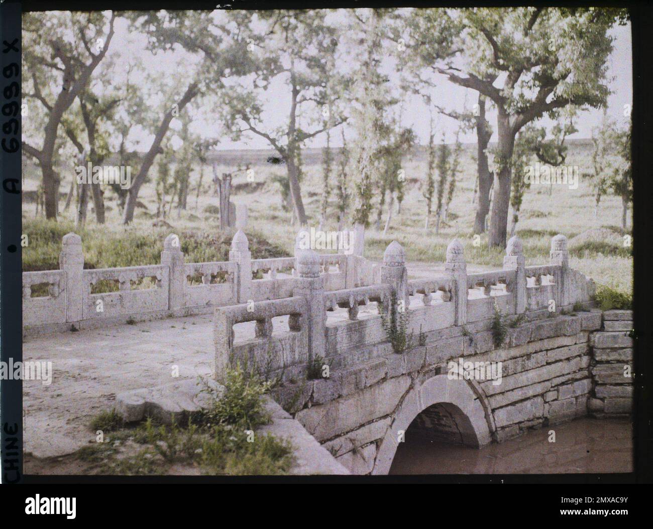 Tchoufou, China Konglin, the necropolis of the Confucius family , 1913 ...