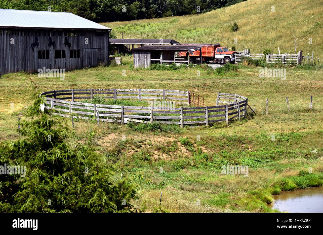 Round corral sits besides weathered wooden barn. It is overgrown and ...