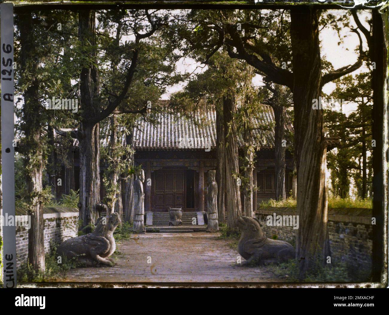 Tchoufou, China Konglin, the necropolis of the Confucius family , 1913 ...