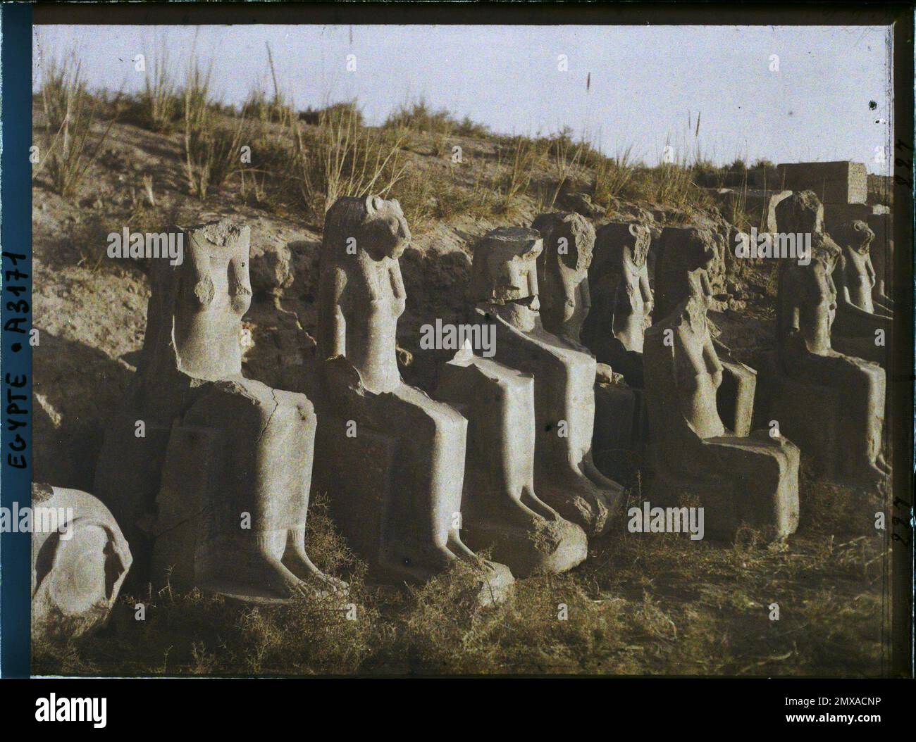 Karnak, Egypt, Africa several statues of the goddess Sekhmet , 1914 ...