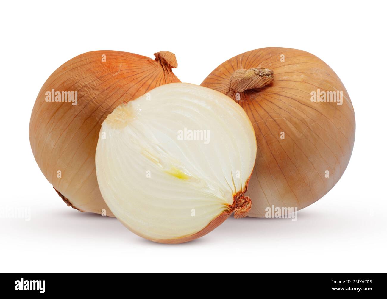 Section single red onion sliced hi-res stock photography and images - Alamy