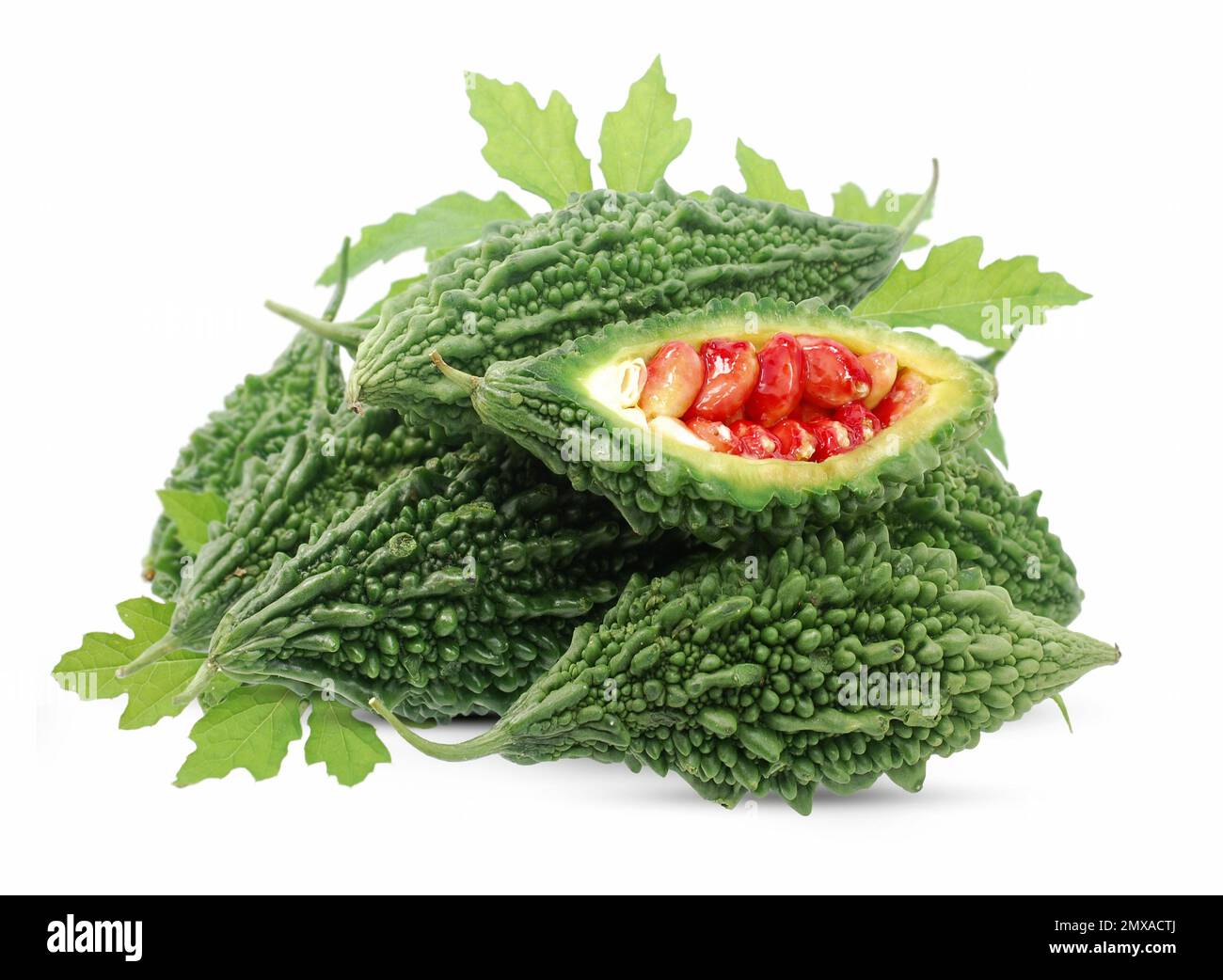 Bitter gourd isolated on white background Stock Photo - Alamy