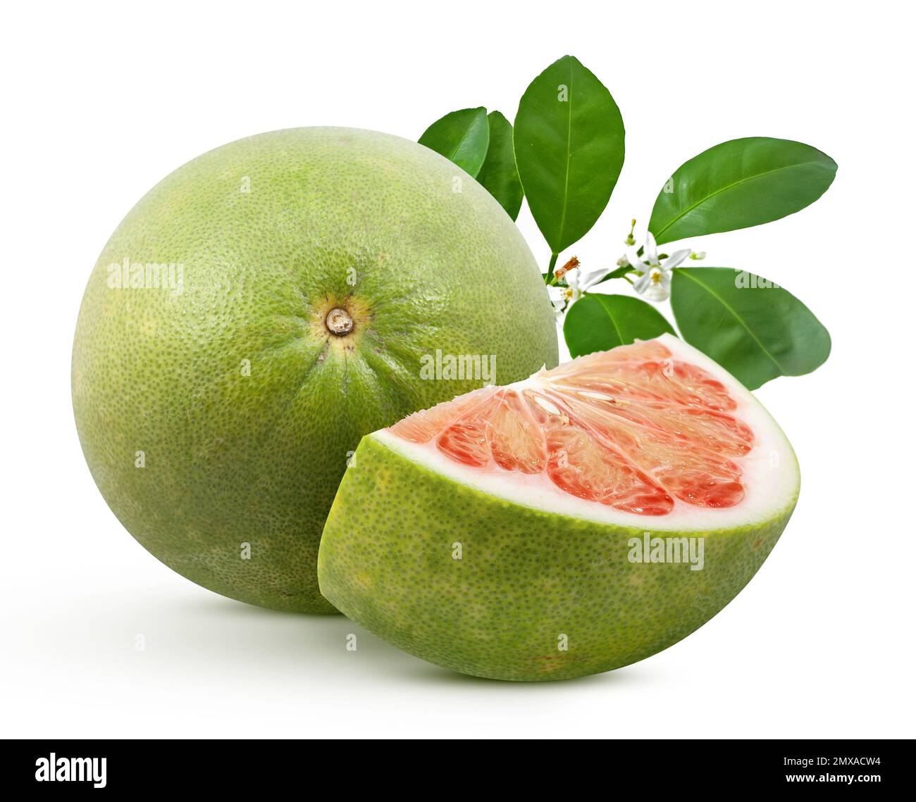 Grape fruit or Pomelo fruit isolated on white background Stock Photo ...