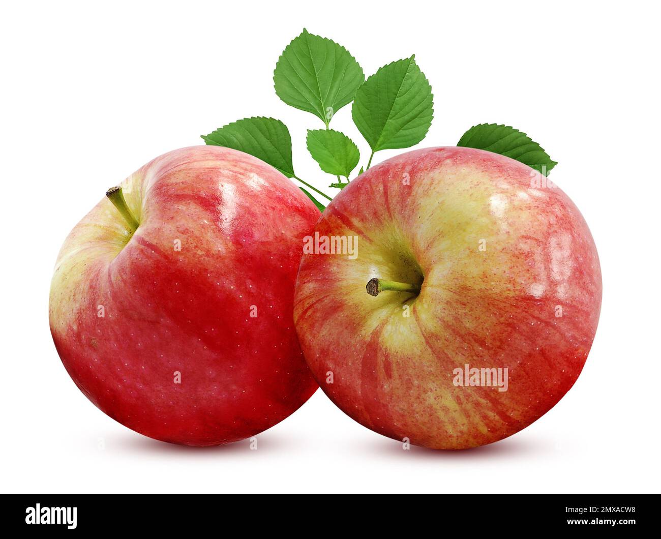 Apple fruits isolated on white background Stock Photo - Alamy