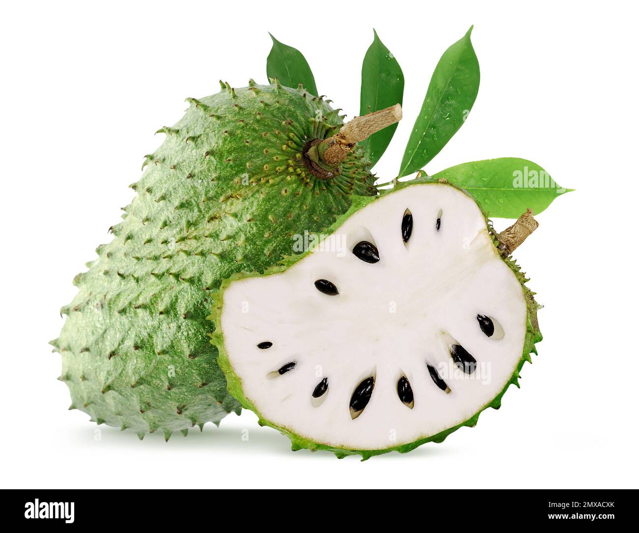 Soursop or custard apple fuite isolated on white background Stock Photo ...